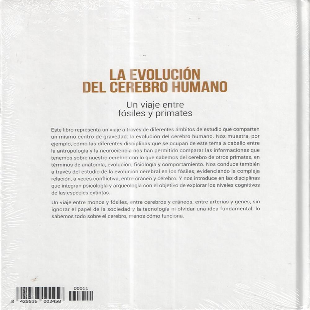 Libro La Evolucion Del Cerebro Humano El Tiempo